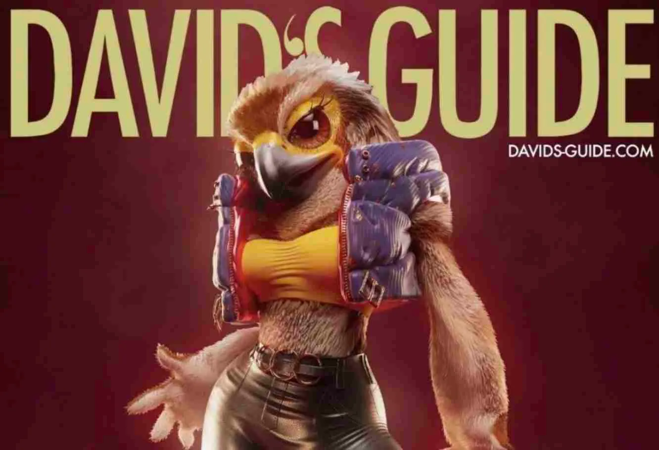 The NFT of Hospitality: Angry Falcons - David's Guide